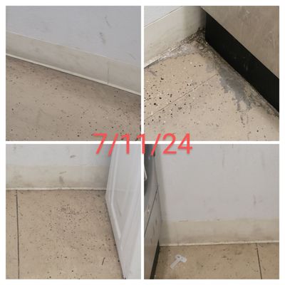 KROMER INVESTMENTS - Updated January 2026 - 37 Photos & 21 Reviews ...