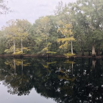 WITHLACOOCHEE RIVER PARK - Updated December 2025 - 88 Photos & 15 ...