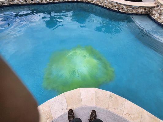 3RD COAST POOLS - Updated June 2024 - 70 Photos - Houston, Texas - Pool Cleaners - Phone Number ...