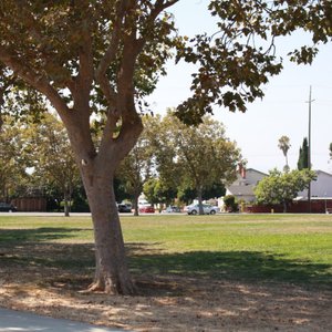 CATALDI PARK - 200 Photos & 103 Reviews - Parks - 2900 Cataldi Dr, San ...