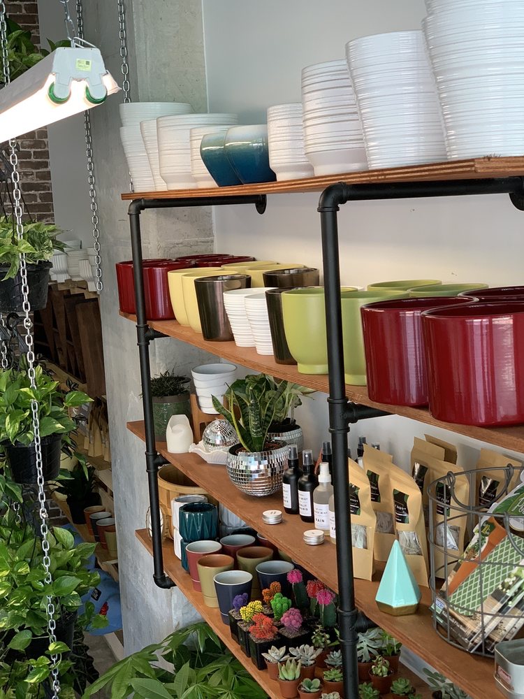 PLANT DADDY - 26 Photos & 11 Reviews - Nurseries & Gardening - 808 ...