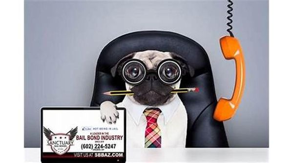 SANCTUARY BAIL BONDS - Updated October 2025 - 79 Photos & 19 Reviews ...