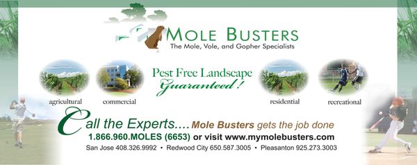 MOLE BUSTERS - Updated September 2025 - 14 Photos & 21 Reviews - San ...