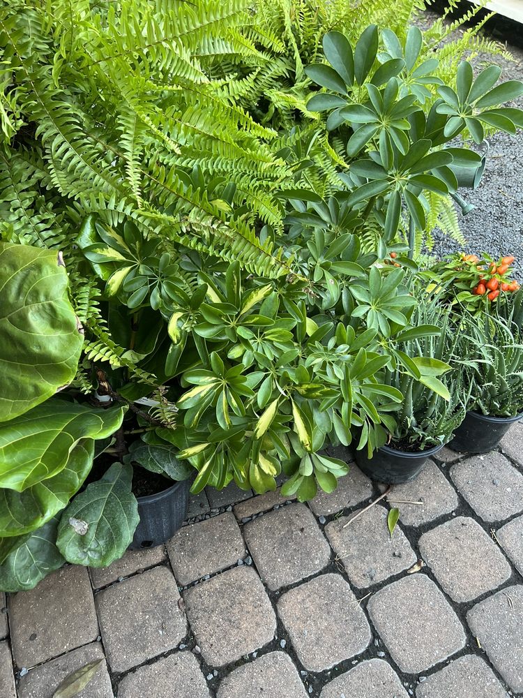 RED TOP FARM MARKET - Updated October 2025 - 41 Photos & 14 Reviews ...