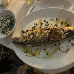 SKINOS - 107 Photos & 41 Reviews - 123 Washington St, New York, NY ...