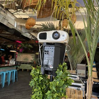 EL TECHO - Updated December 2025 - 771 Photos & 478 Reviews - 606 ...