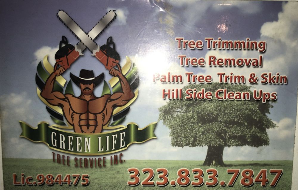 GREEN LIFE TREE SERVICE - 50 Photos & 13 Reviews - Los Angeles ...