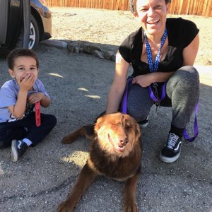 YUCCA VALLEY ANIMAL SHELTER - Updated July 2025 - 153 Photos - 4755 ...