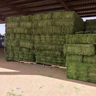 ANDERSON’S FEED & TACK - Updated October 2025 - 1722 W Tierra Buena Ln ...