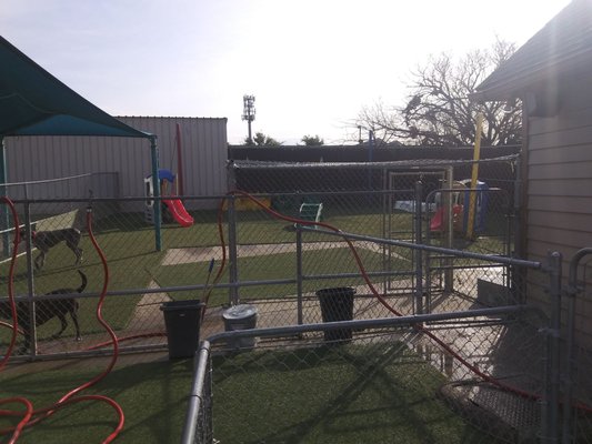 DOGS RULE RESORT - 36 Photos & 40 Reviews - 2501 Pecan St, Carrollton ...