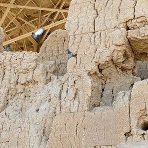 WHITE TANK LIBRARY - Updated December 2025 - 104 Photos & 43 Reviews ...