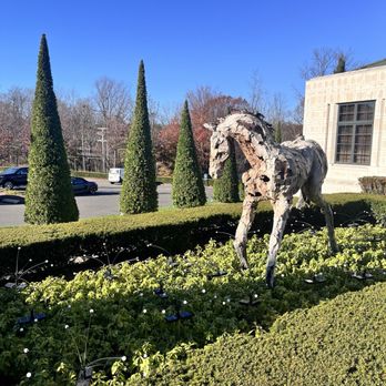 IL PALIO RISTORANTE - Updated January 2026 - 325 Photos & 248 Verified ...