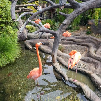 PALO ALTO JUNIOR MUSEUM & ZOO - Updated June 2024 - 607 Photos & 353 ...