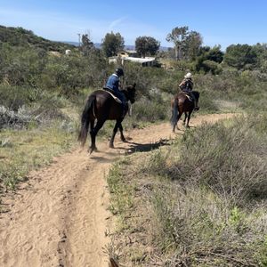 SUSIE Q RANCH - 174 Photos & 134 Reviews - Horseback Riding - 28330 ...