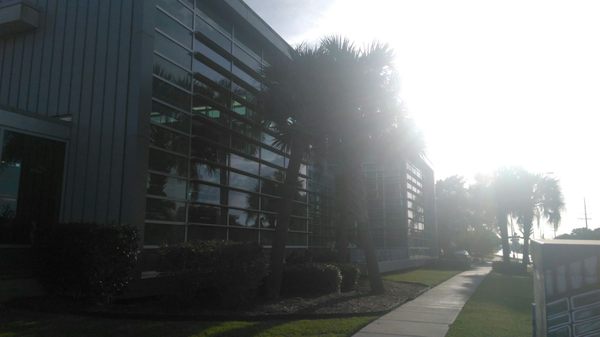 LAKESHORE LIBRARY - Updated December 2025 - 21 Photos - 1100 W ...