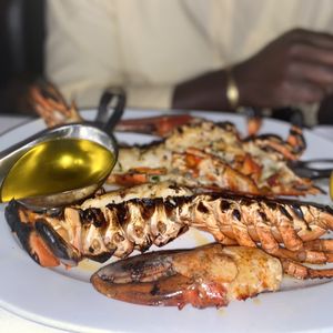 COCOTAZO - Updated November 2025 - 44 Reviews & 113 Photos - 1590 Park ...