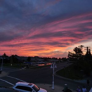 THE STRAY DOG BAR & GRILL - 865 Photos & 1213 Reviews - 245 N Whittaker ...