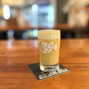 AMICUS BREWING VENTURES - Updated June 2025 - 52 Photos - 717 S Gadsden ...