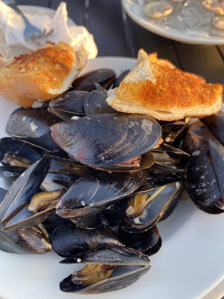 BAYHOUSE WATERFRONT BAR AND GRILLE - 403 Photos & 251 Reviews - 155-57 ...