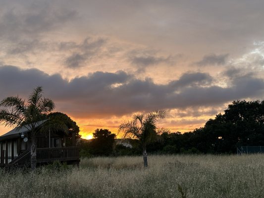 VISION QUEST RANCH - Updated November 2025 - 827 Photos & 320 Reviews ...