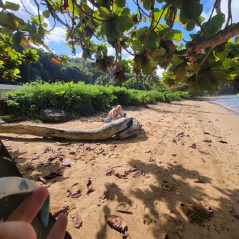 ANINI BEACH PARK - Updated January 2025 - 445 Photos & 229 Reviews ...