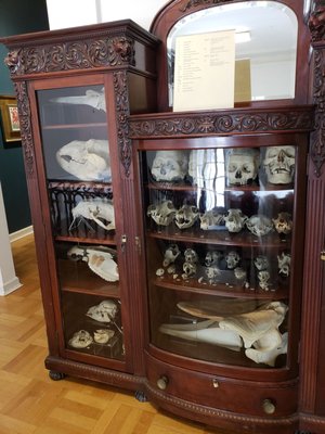 International Museum of Surgical Science - 531 Photos & 145 Reviews ...