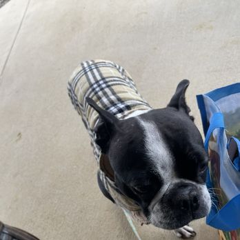 MOUNTAIN RUN WINERY - Updated November 2025 - 127 Photos & 56 Reviews ...