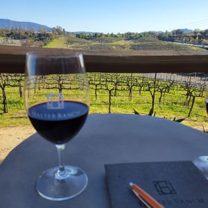 HALTER RANCH TEMECULA - 43 Photos & 20 Reviews - 41300 Ave Biona Temecula Ca 92591, Temecula ...