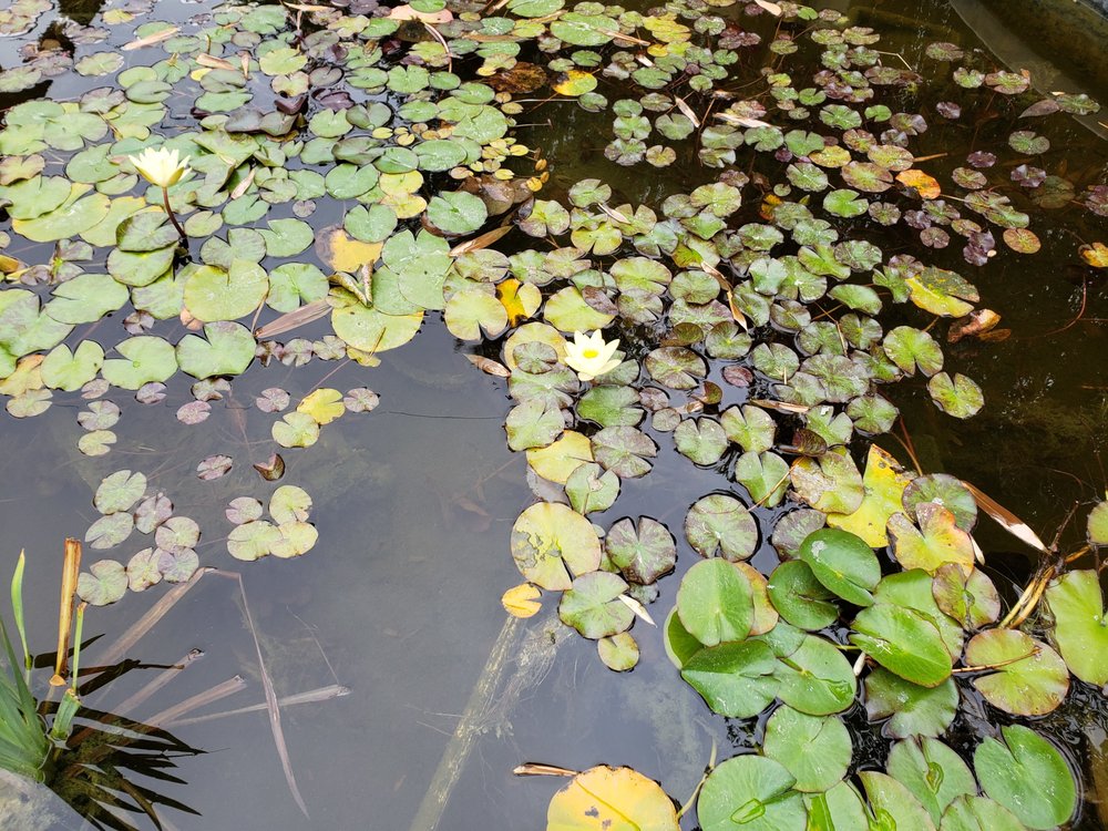 MONTANYA SPA - 43 Photos & 134 Reviews - 120 W 20th St, Santa Ana, CA ...