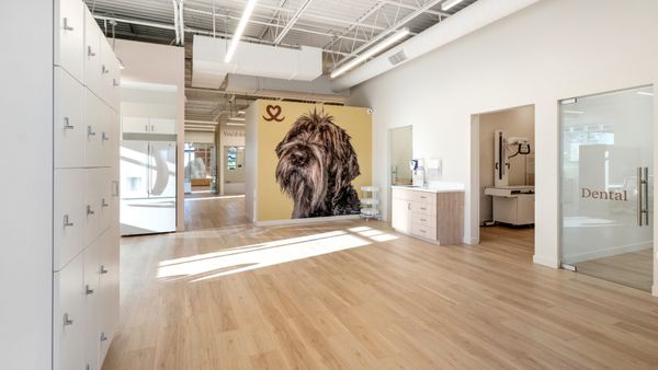 PETFOLK VETERINARY & URGENT CARE - FORT MILL - Updated January 2026 ...