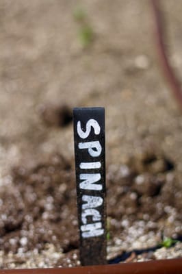 THE SKY FARM AT ESKENAZI HEALTH - Updated December 2025 - 125 Photos ...
