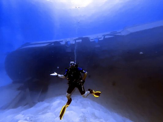 OUTSIDE THE ASYLUM DIVING & TRAVEL - Updated October 2025 - 13 Photos ...