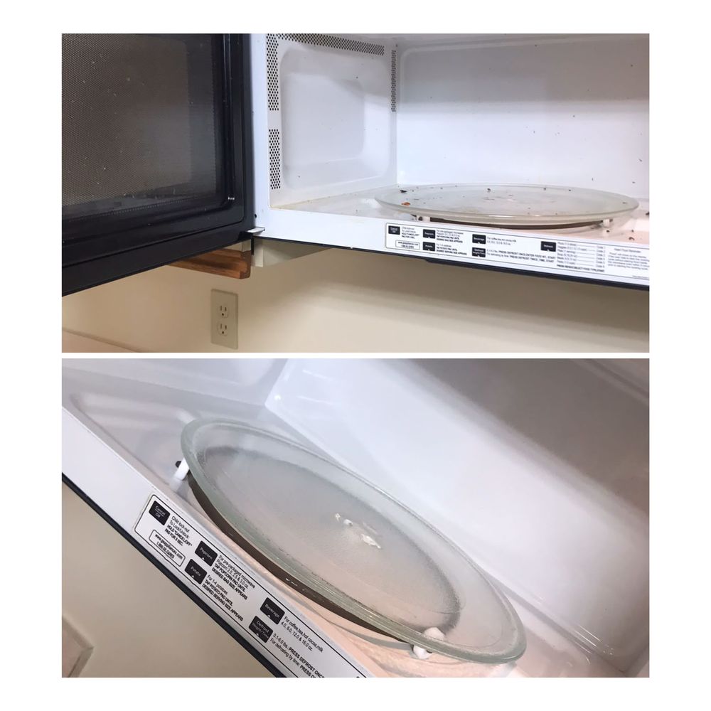 RAC CLEANING SERVICE - 164 Photos - Charlestown, Massachusetts - Office ...