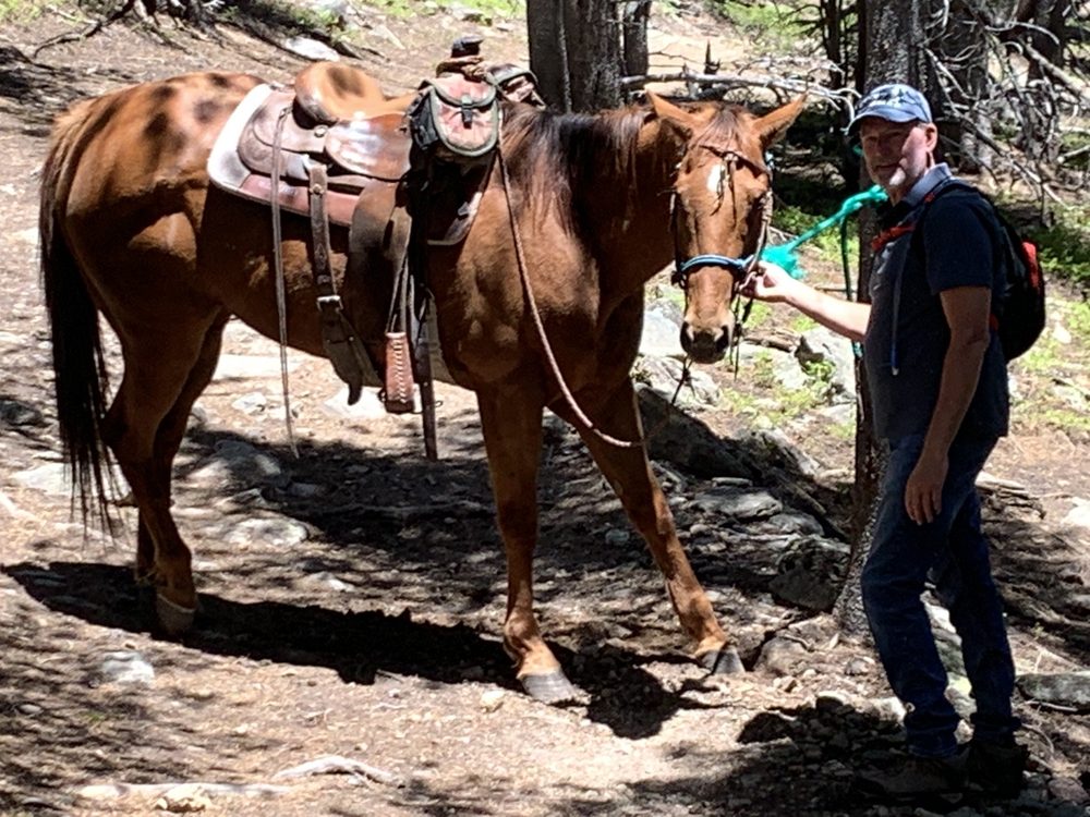 THE ALPINE STABLES - Updated December 2025 - Ward, Colorado - Horseback ...