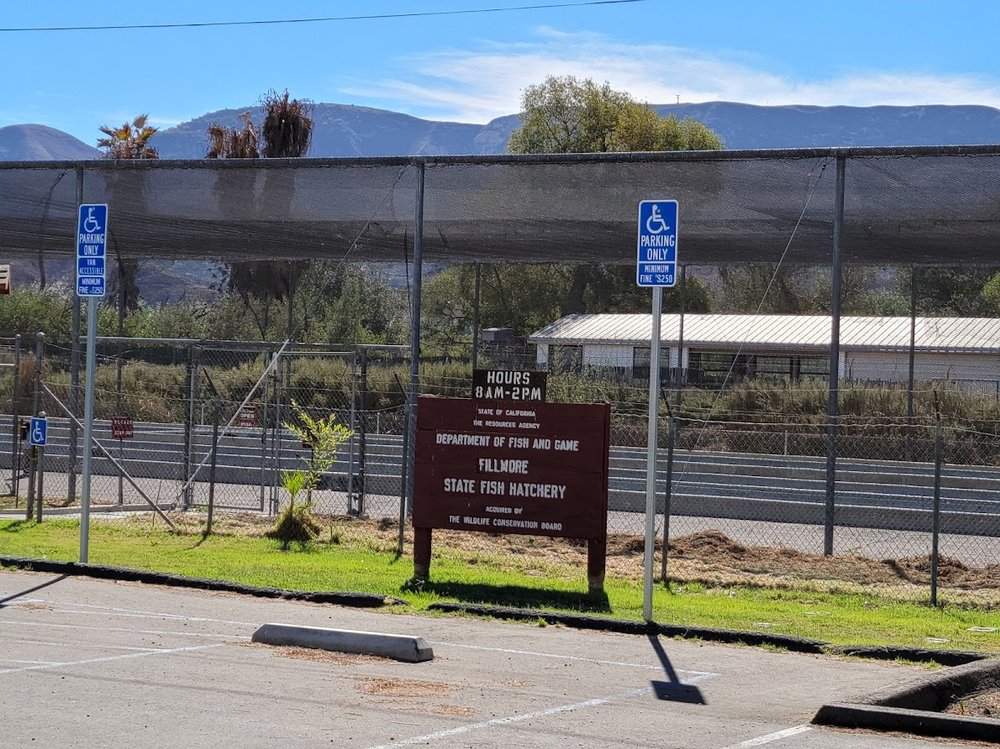 FILLMORE FISH HATCHERY - Updated December 2025 - 89 Photos & 33 Reviews ...