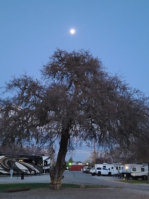 PASO ROBLES RV RANCH & CAMPGROUND - Updated June 2025 - 30 Photos & 86 ...