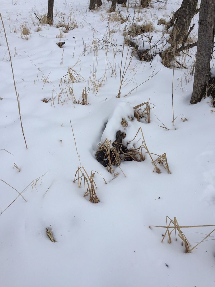 WARGO NATURE CENTER - Updated July 2024 - 24 Photos - 7701 Main St ...