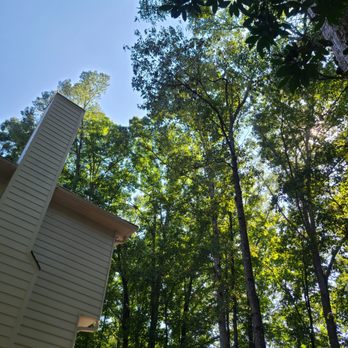 GEORGIA TREE COMPANY - Updated June 2025 - 19 Reviews - 2370 Justin Trl ...