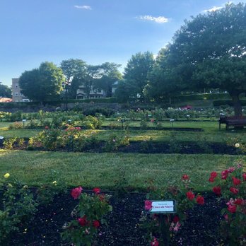 MAPLEWOOD ROSE GARDEN - Updated October 2025 - 109 Photos & 11 Reviews ...