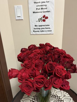 PALI MOMI WOMEN’S CENTER - Updated November 2025 - 108 Photos & 32 ...