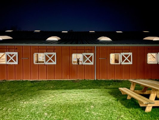 LITTLE BIT THERAPEUTIC RIDING CENTER - Updated June 2026 - 45 Photos ...