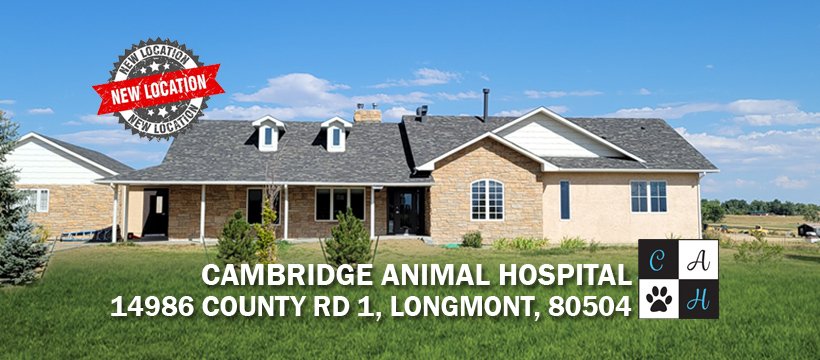 CAMBRIDGE ANIMAL HOSPITAL - Updated December 2025 - 47 Reviews - 14986 ...