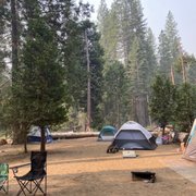 PIPI CAMPGROUND - 110 Photos & 38 Reviews - Campgrounds - Pioneer, CA ...