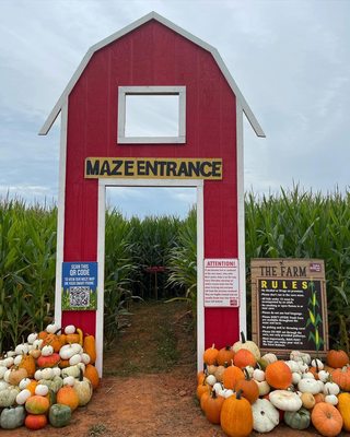 THE FARM - Updated December 2025 - 62 Photos - 769 Bray Ford Rd, Dobson ...