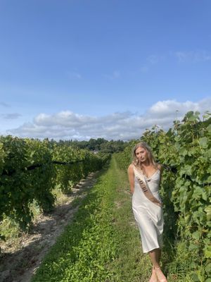 KIN VINEYARDS - Updated September 2025 - 15 Photos - 2225 Craig's Side ...