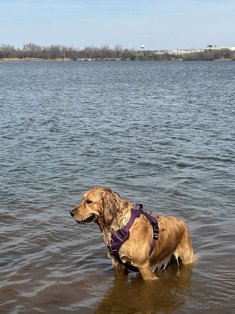 BOOMER LAKE - Updated December 2025 - 17 Photos - Lake Dr, Stillwater ...