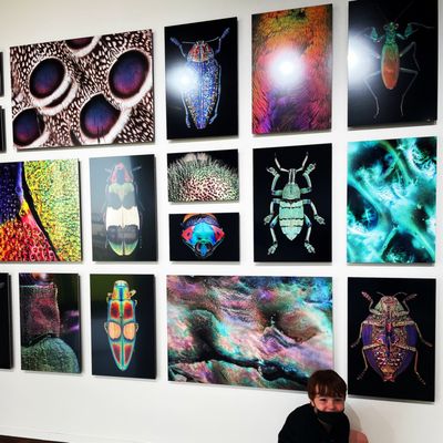 LOUISIANA ART AND SCIENCE MUSEUM - Updated June 2024 - 125 Photos & 29 ...