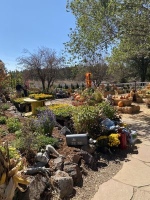 VIOLA’S FLOWER GARDEN - 115 Photos & 44 Reviews - 610 S State Rte 89A ...