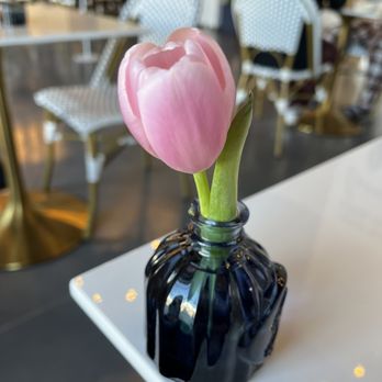 BLUE HOUSE BAKERY & CAFE - Updated December 2025 - 44 Photos & 61 ...