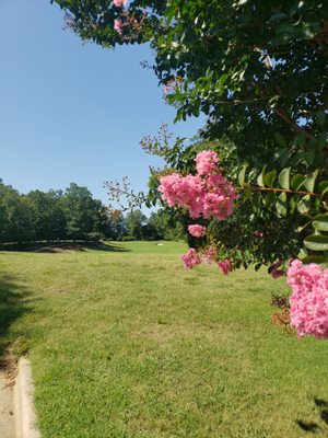 CHALLENGE GOLF CLUB - 14 Photos - 1179 Challenge Dr, Graham, North ...